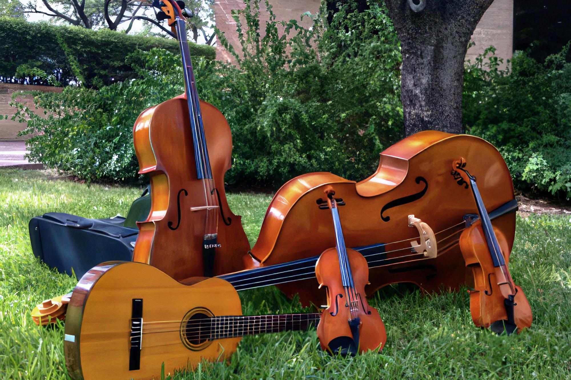 What are the differences between a violin and other bowed string ...
